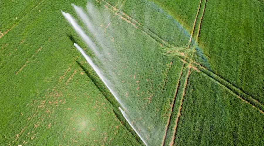 Irrigação: o que é, importância e benefícios para a sua lavoura